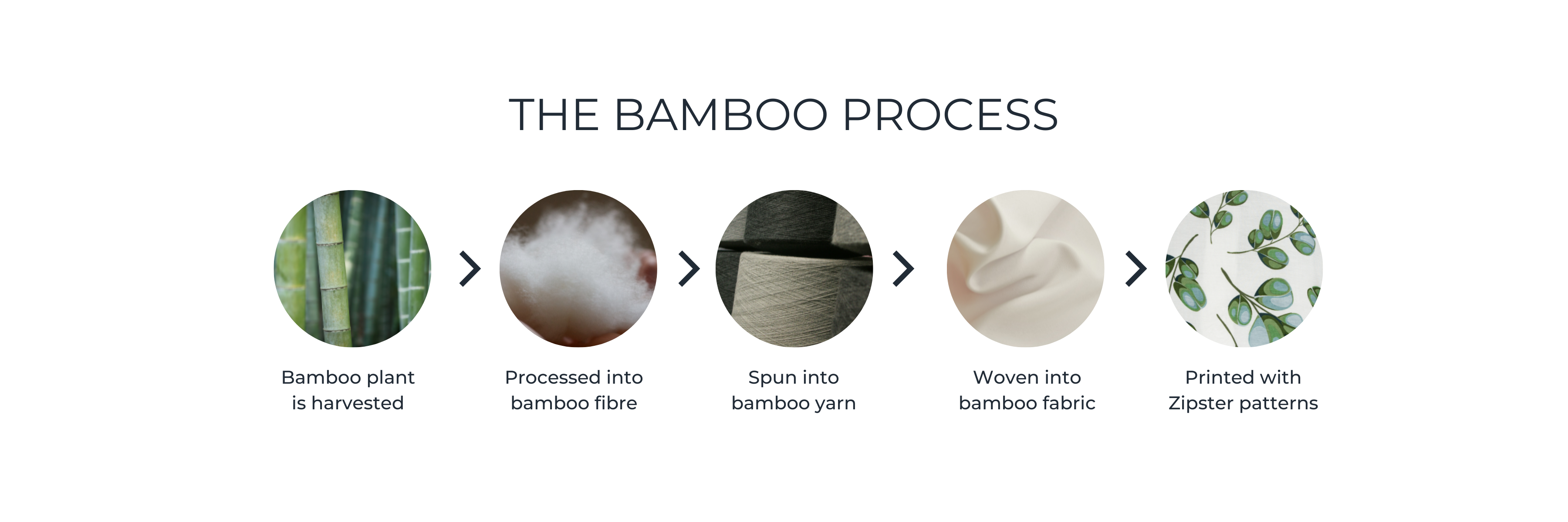 How bamboo is made into fabric and why it's great for the environment