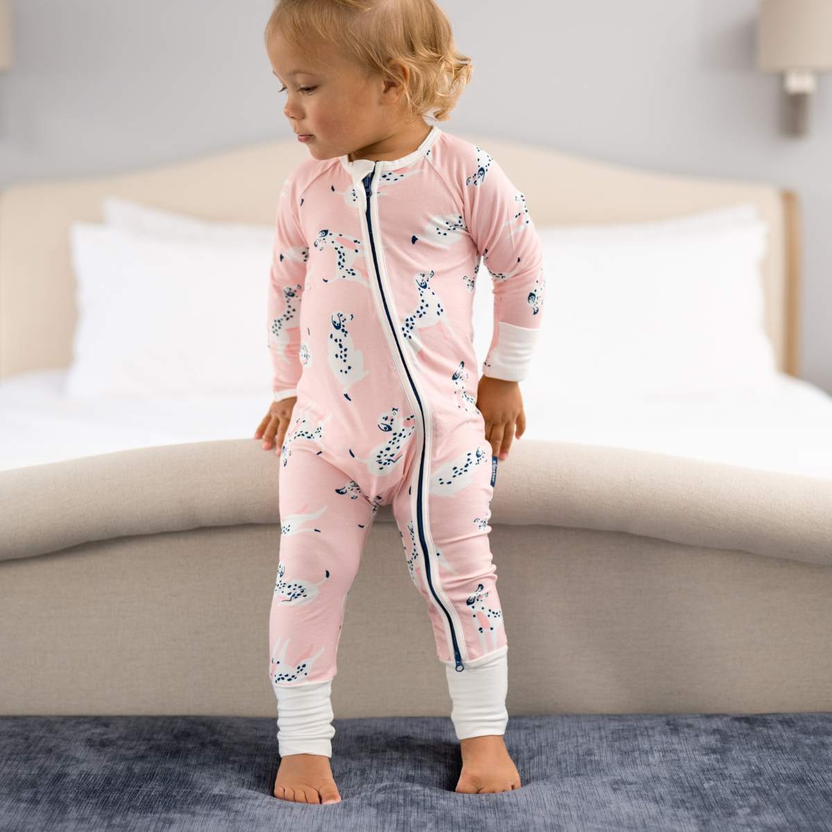 Zipster Design Competition 2024